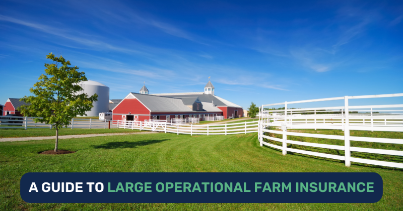 A Guide to Large Operational Farm Insurance
